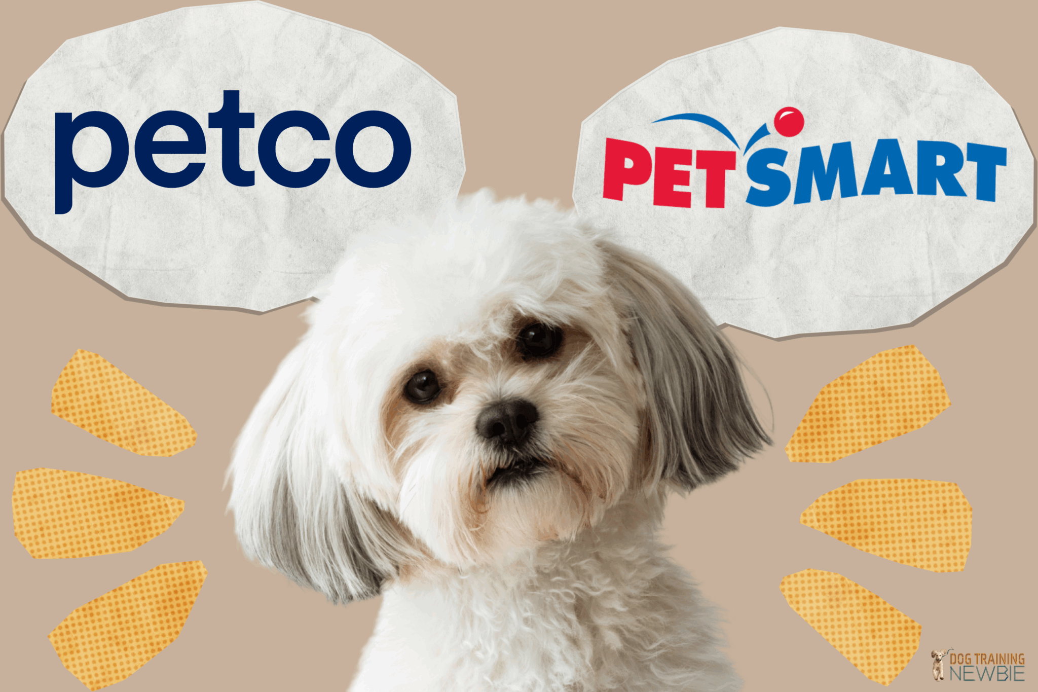 Petco or Petsmart: Which Is Better for Dog Training?