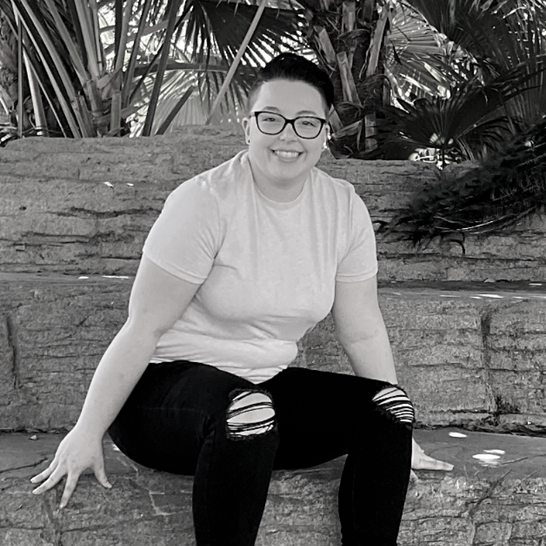 About Dog Training Newbie | Dog Training Newbie