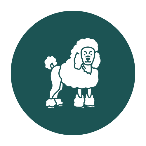 How to Identify Aggressive and Dominant Behavior