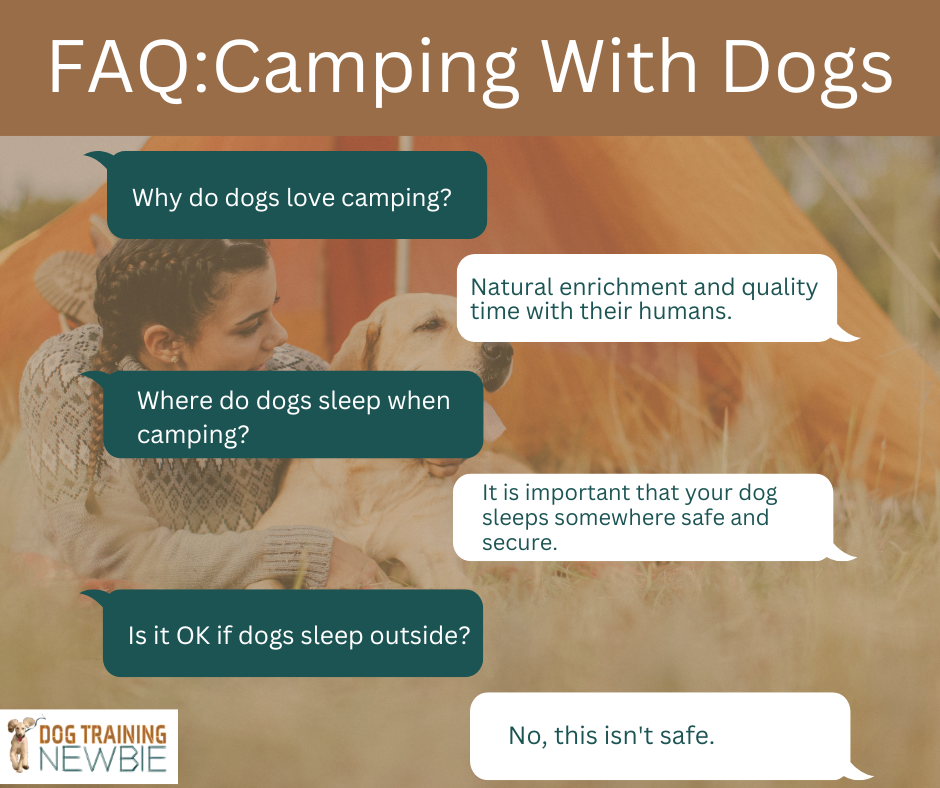 Camping With Dogs: The Ultimate Guide For Newbies