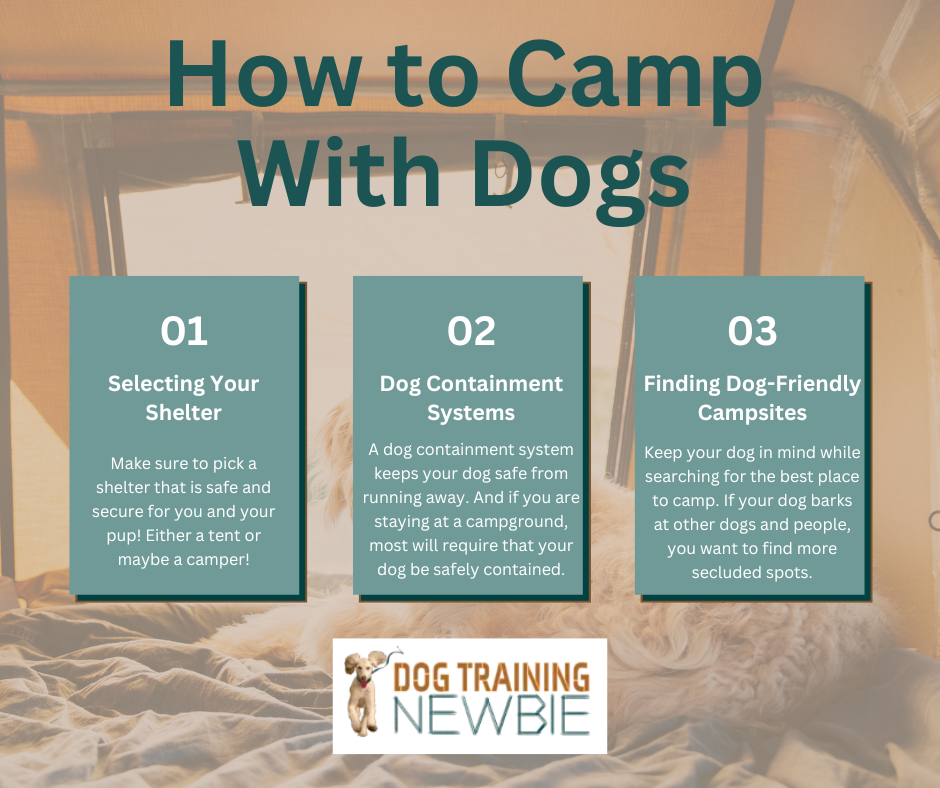 Camping With Dogs: The Ultimate Guide For Newbies