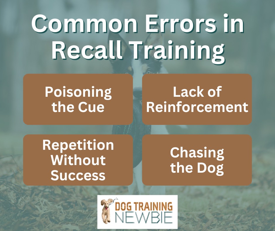 Total Dog Recall Training: Teach Your Dog to Come