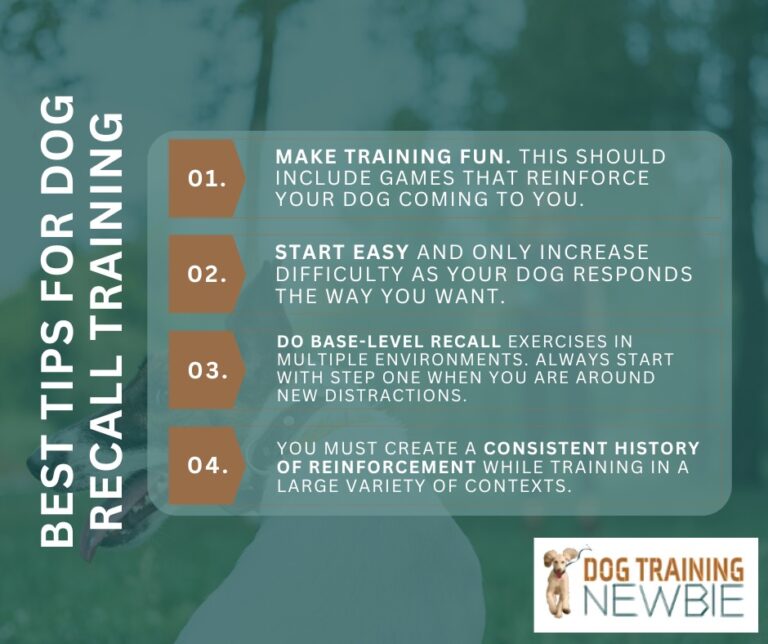 Total Dog Recall Training: Teach Your Dog to Come
