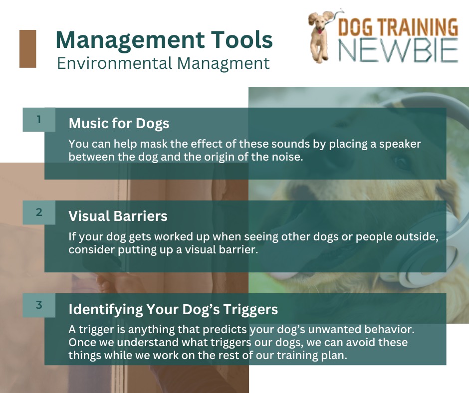 3 Ways To Stop Unwanted Dog Behavior Effectively